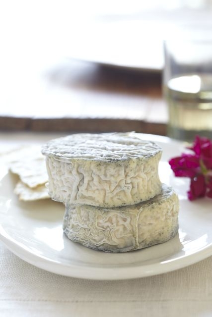 Cheese of the week: Bonne Bouche - Healthy Living