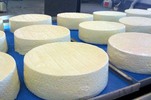Cheese of the Week: Lillé - Healthy Living